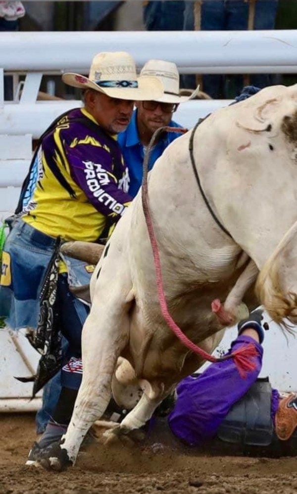 2025 World Finals Sponsor Packet « World Senior Professional Bull Riders