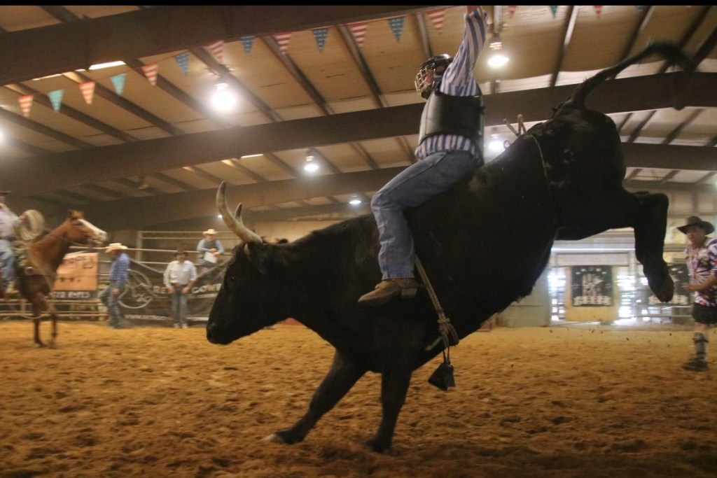 By-Laws « World Senior Professional Bull Riders