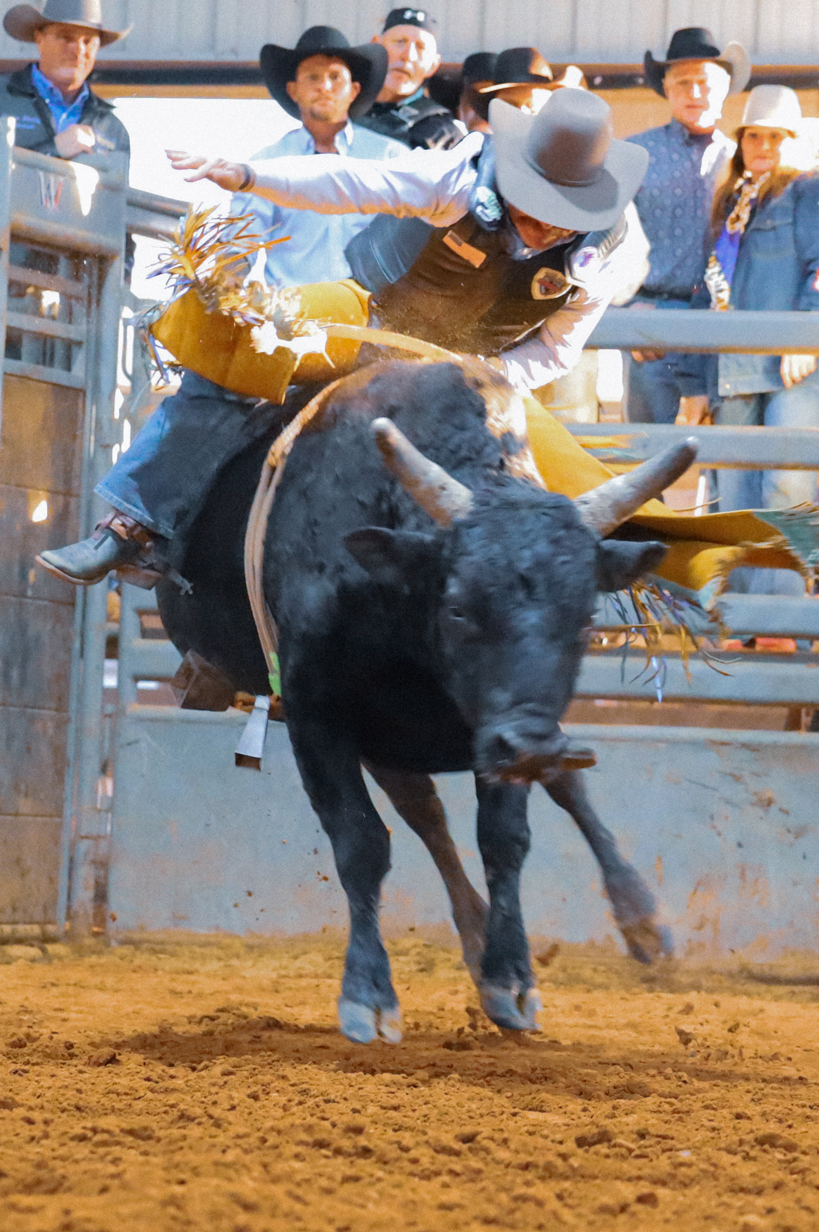 World Senior Professional Bull Riders