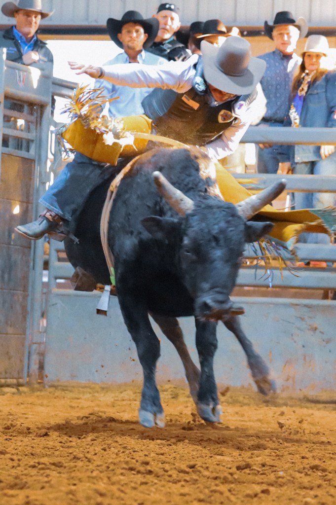 World Senior Professional Bull Riders