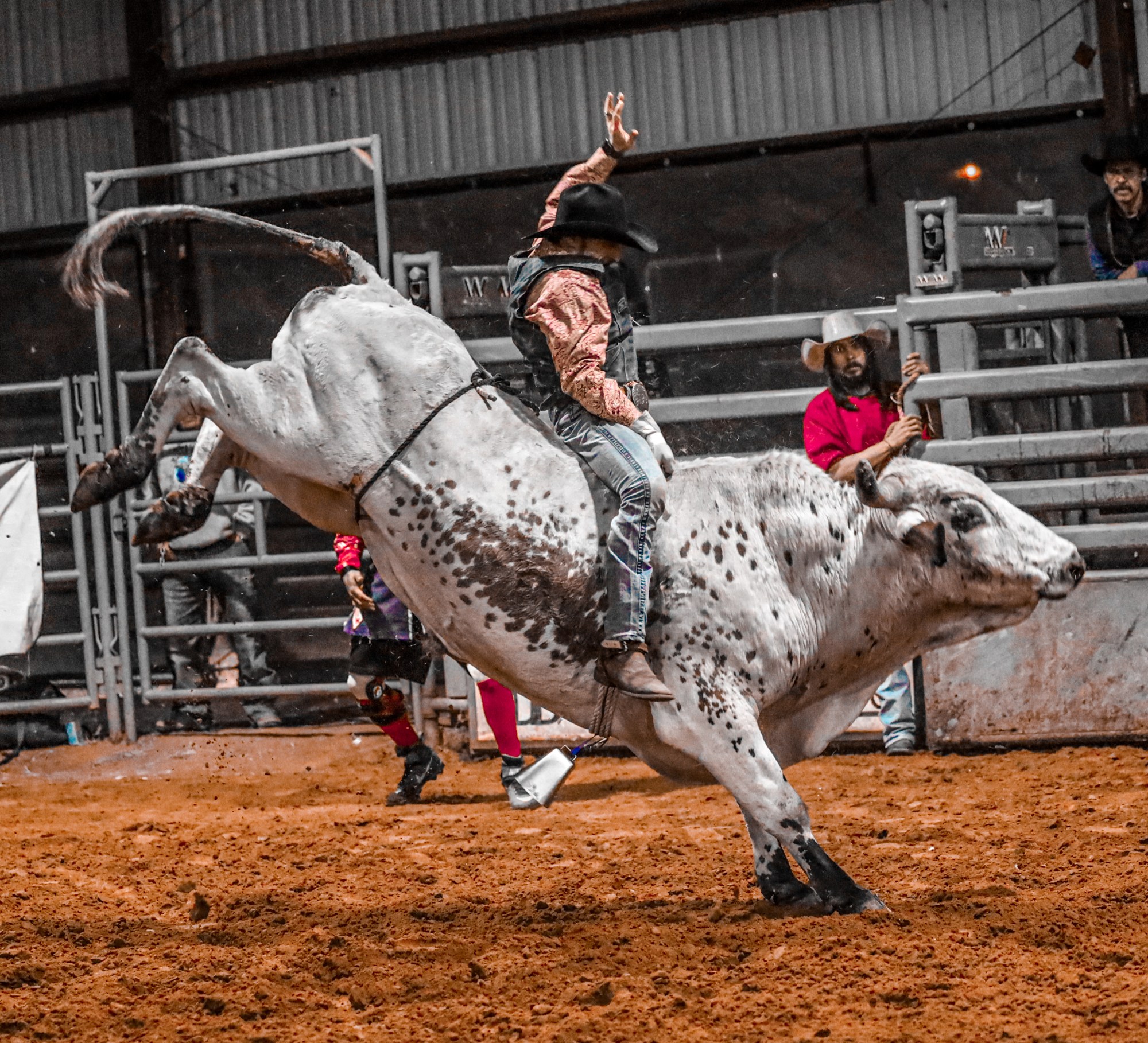 World Senior Professional Bull Riders