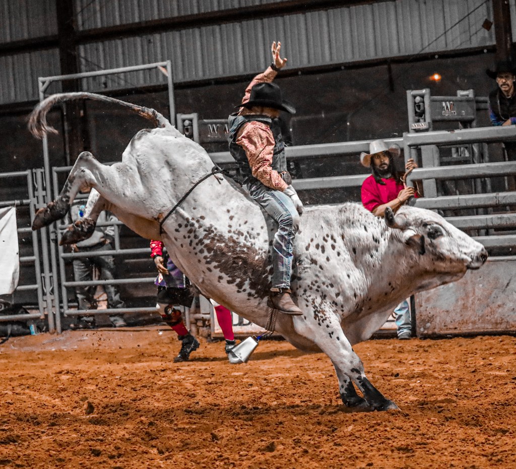 World Senior Professional Bull Riders
